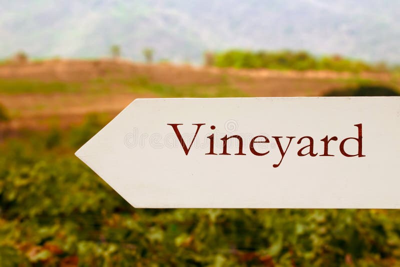 Vineyard sign stock image. Image of traffic, travel, european - 19138473
