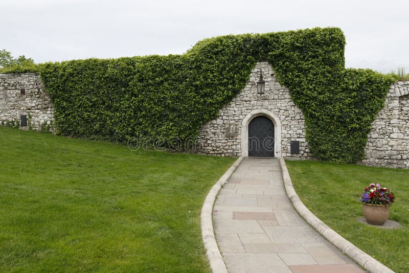 Vineyard wall stock photo. Image of lantern, green, pavement - 176626550