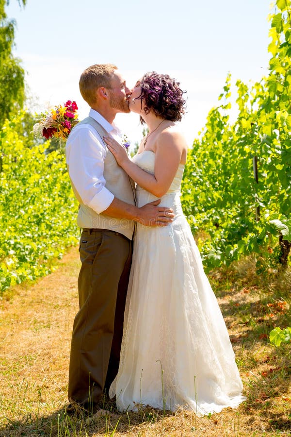 Vineyard wedding I stock photo. Image of setting, shiny - 650284