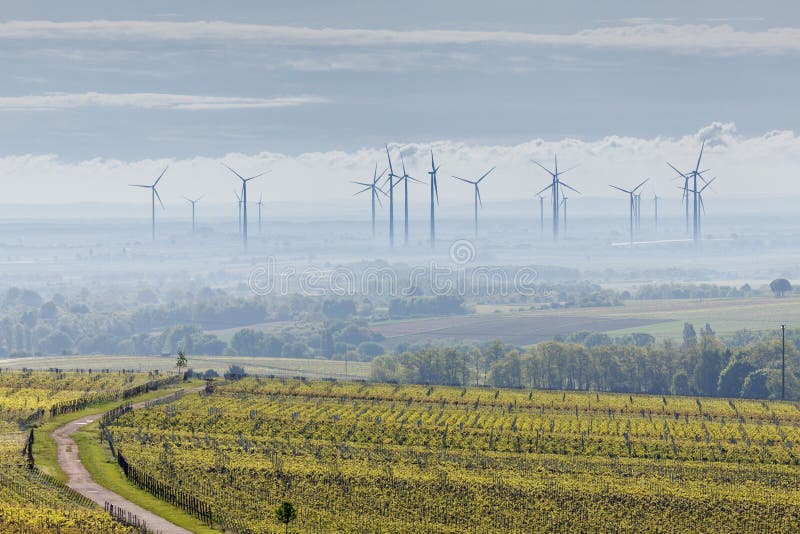 Vineyard and Wind Turbine on the Field Covered by Fog Stock Image ...