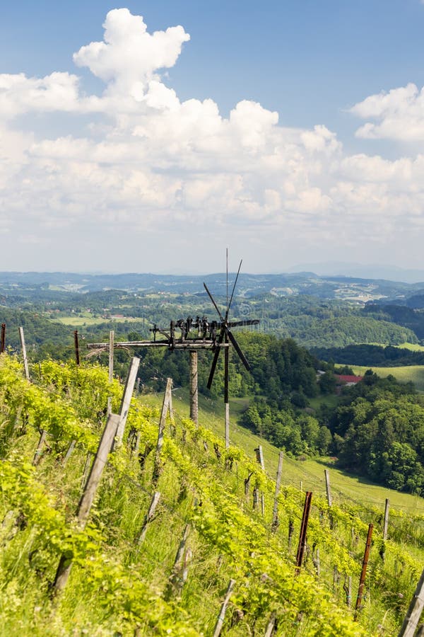 Vineyards with Windmill, France Stock Image - Image of cultivate ...