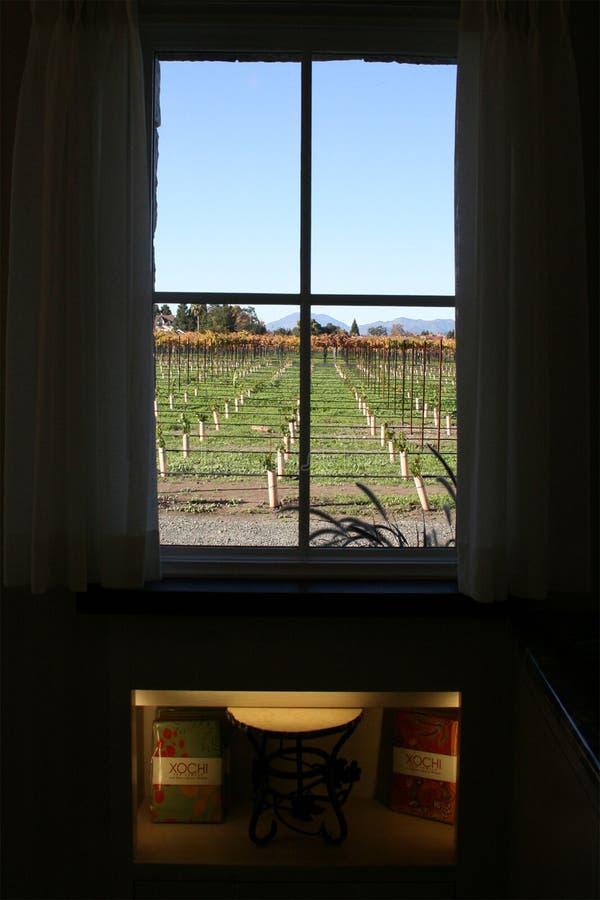 3,486 Window Vineyard Stock Photos - Free & Royalty-Free Stock Photos ...