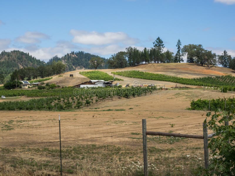 Vineyard and Winery in Rural Area Stock Photo - Image of oregon, grapes ...