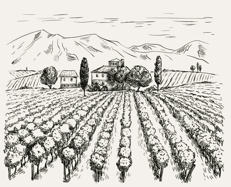 Vineyard Stock Illustrations – 18,617 Vineyard Stock Illustrations ...