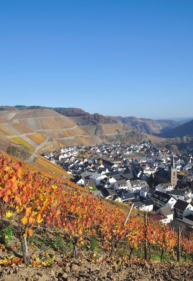 Vineyards in the Ahr Valley Stock Photo - Image of mayschoss, interest ...