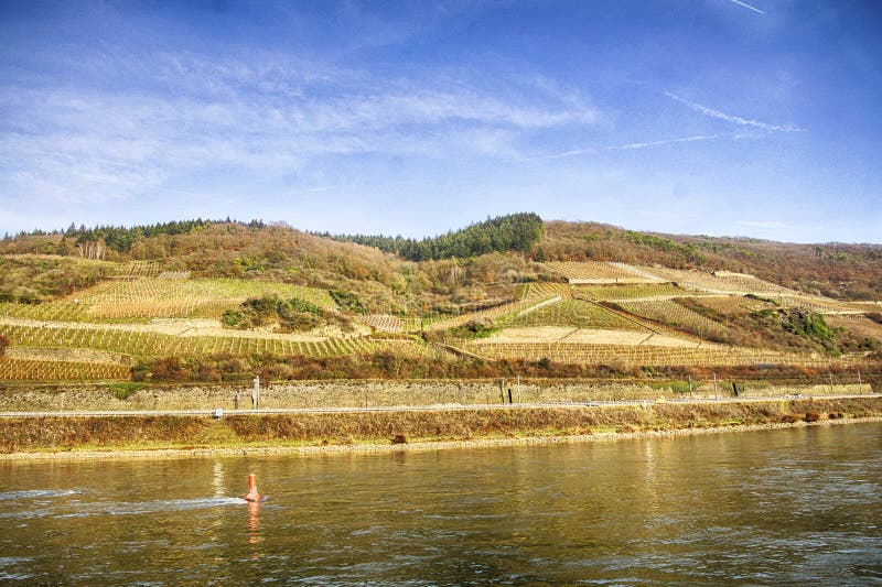 Vineyards Along the Rhine River Stock Photo - Image of terrace, ridge ...