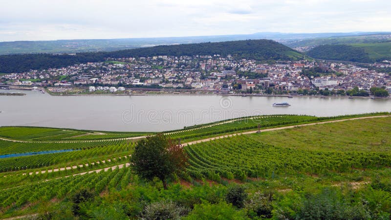 From the Vineyards Along the Rhine River Stock Image - Image of rhine ...