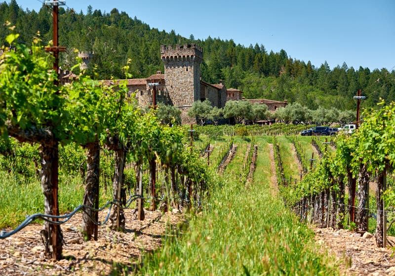 Vineyards with Castle in California Stock Photo - Image of vinery ...
