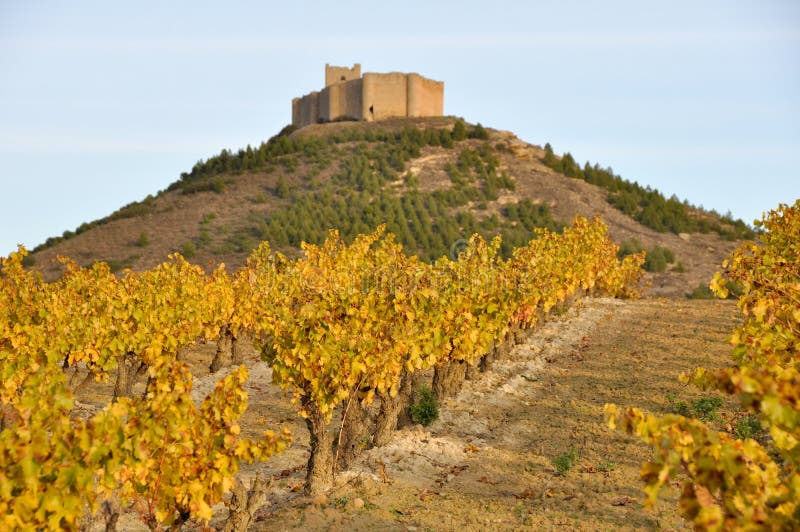 Vineyards and Davalillo Castle, La Rioja Stock Photo - Image of briones ...