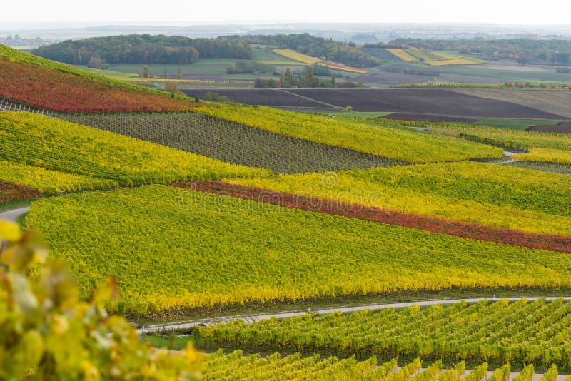 Vineyards in fall stock photo. Image of outdoor, travel - 80062076