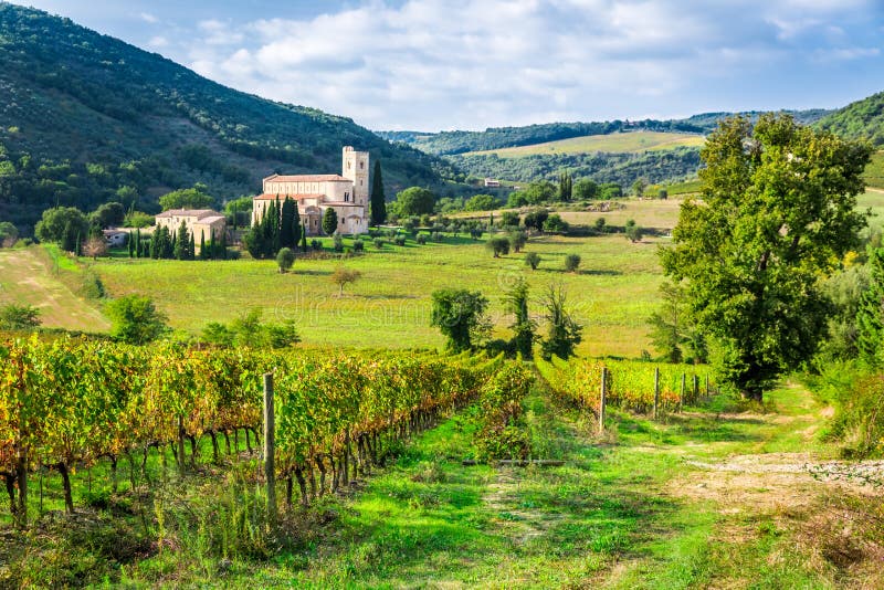 Vineyards and the Monastery in Tuscany Stock Photo - Image of ripe ...