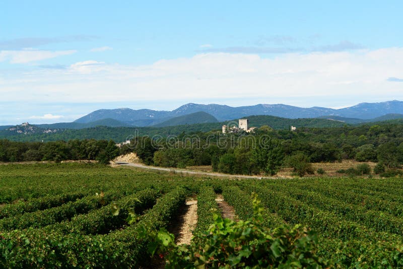 Vineyards In Southern France Stock Image - Image of outside, distance ...