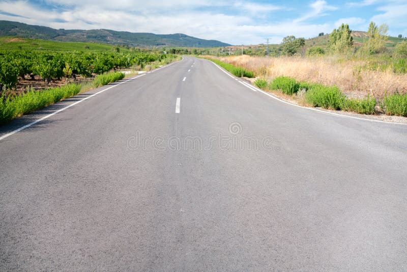 Vineyards and Trees on the Side of the Road Stock Photo - Image of blue ...