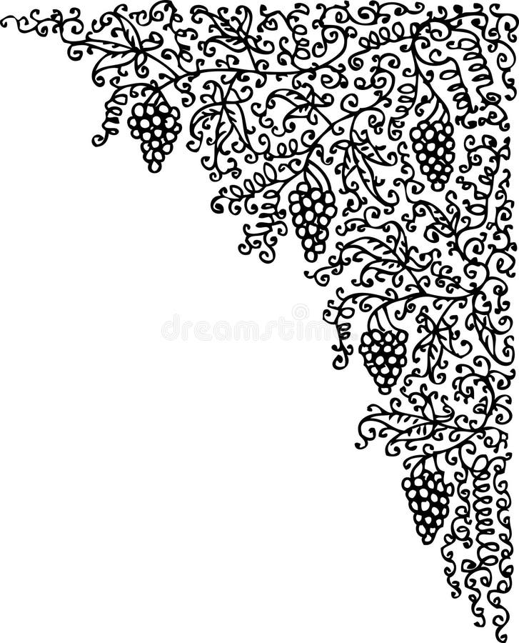 Uvas e folhas da videira ilustração do vetor. Ilustração de branco ...