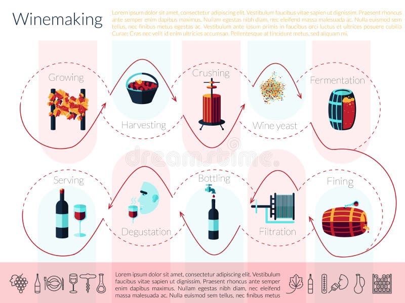 Vinification Plate Infographic Illustration de Vecteur - Illustration ...