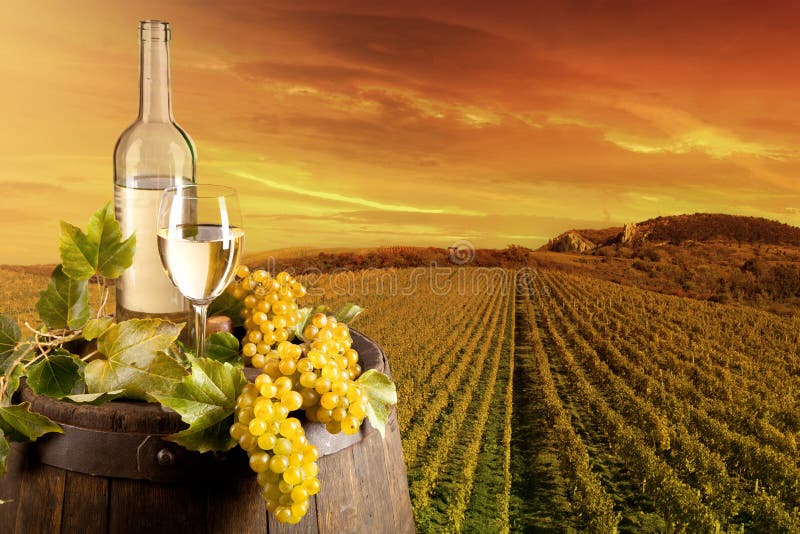 Vino In Vigna Immagine Stock Immagine Di Frutta Alcool 34838077