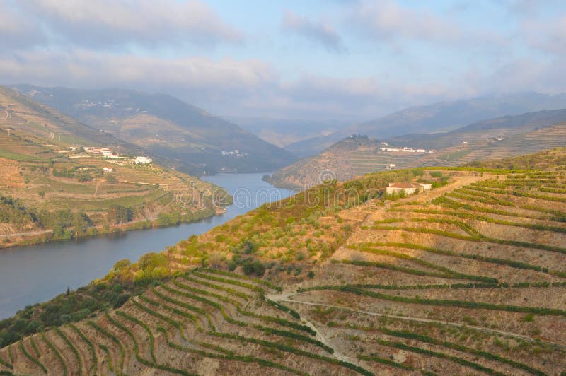 Douro Tal Winelands Pool Portugal Stockbild - Bild von erbe, schwimmbad ...
