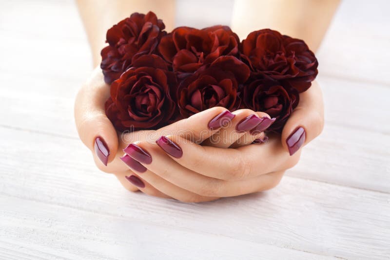 Red manicure and rose stock image. Image of jewelry, nail - 11675817