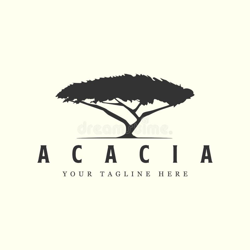 Vintage Acacia Tree with Logo Vector Illustration Icon Template Design ...