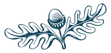 Vintage acorn stock vector. Illustration of pattern, concept - 16601991