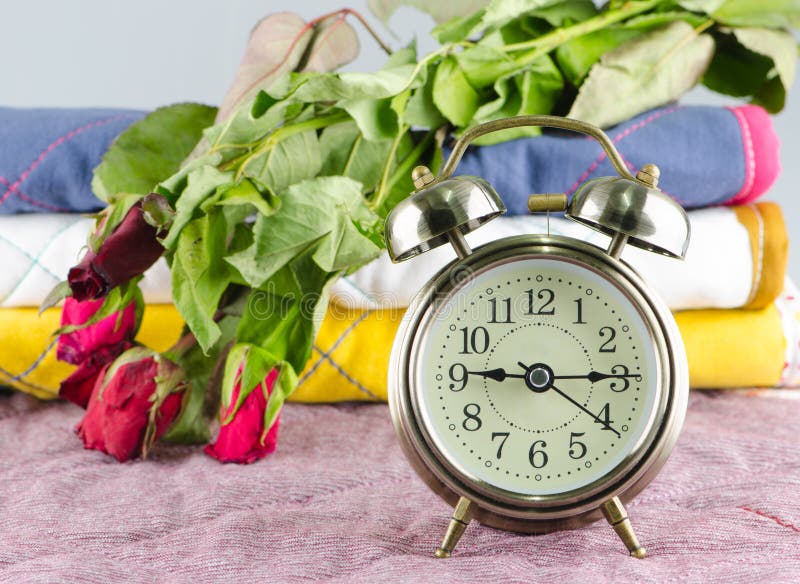 Vintage Alarm Clock and Rose Flower Stock Photo - Image of timer, wake ...