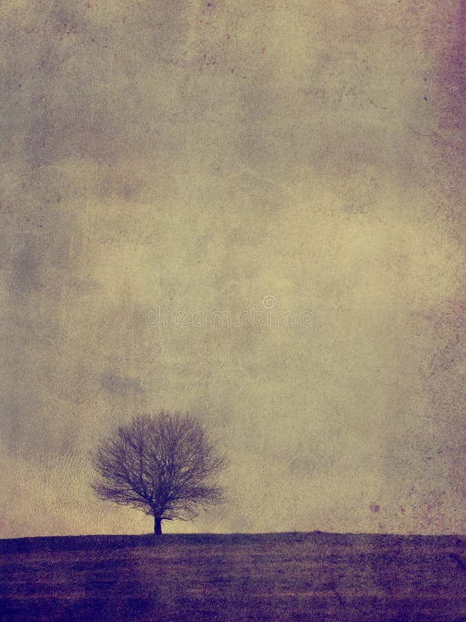 Vintage alone tree stock photo. Image of outdoors, panoramic - 83241814
