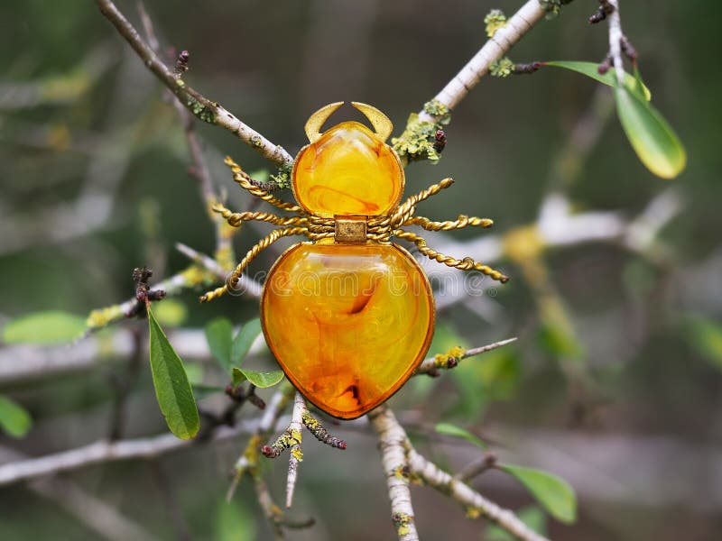 Vintage Amber Brooch in the Shape of a Bug on a Branch Stock Photo ...