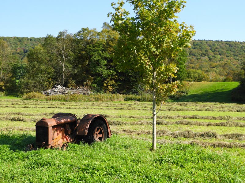 Vintage Antique Red Tractor Abandoned in a Hay Field Stock Photo ...