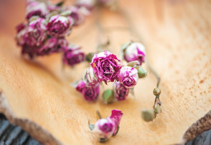 Vintage Background with Dry Tea Roses Stock Photo - Image of grunge ...