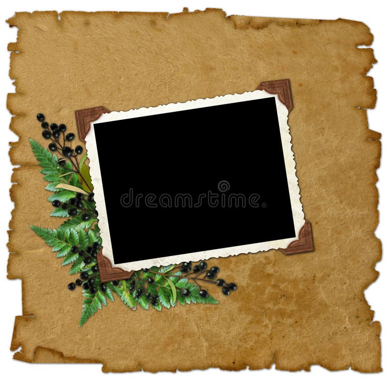 Frame Berry Background Stock Illustrations – 58,691 Frame Berry ...