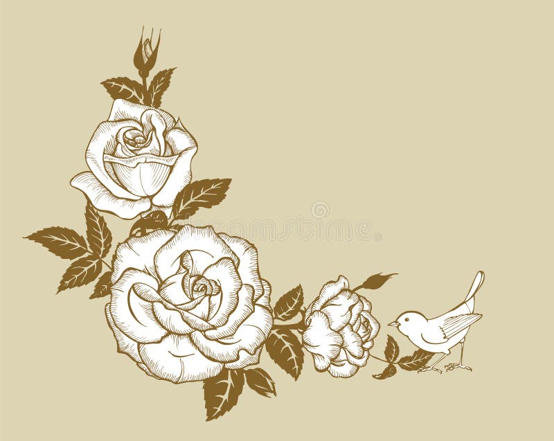 Vignette of roses stock vector. Illustration of classic - 12720944