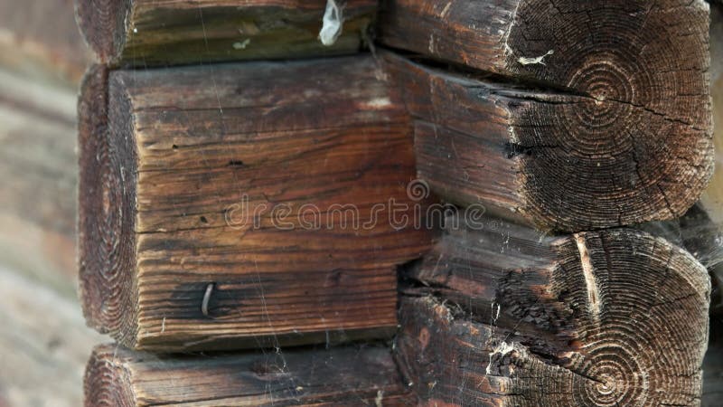 Vintage Balk Wall with Cobweb. Stock Footage - Video of texture, timber ...