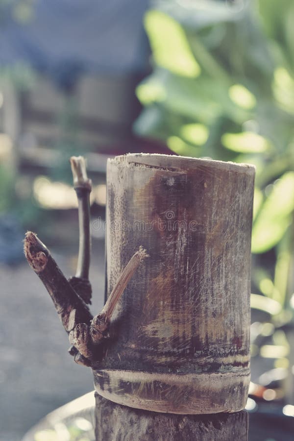 Vintage bamboo flask stock photo. Image of flask, bamboo - 259595528