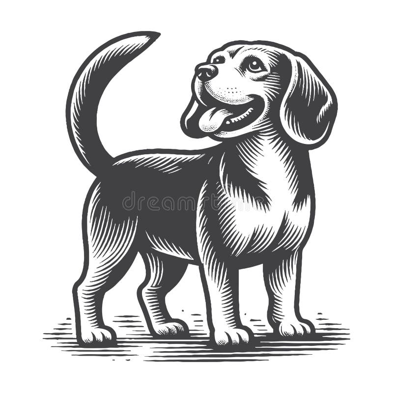 Vintage Beagle Dog Wagging Tail Illustration. Stock Vector ...