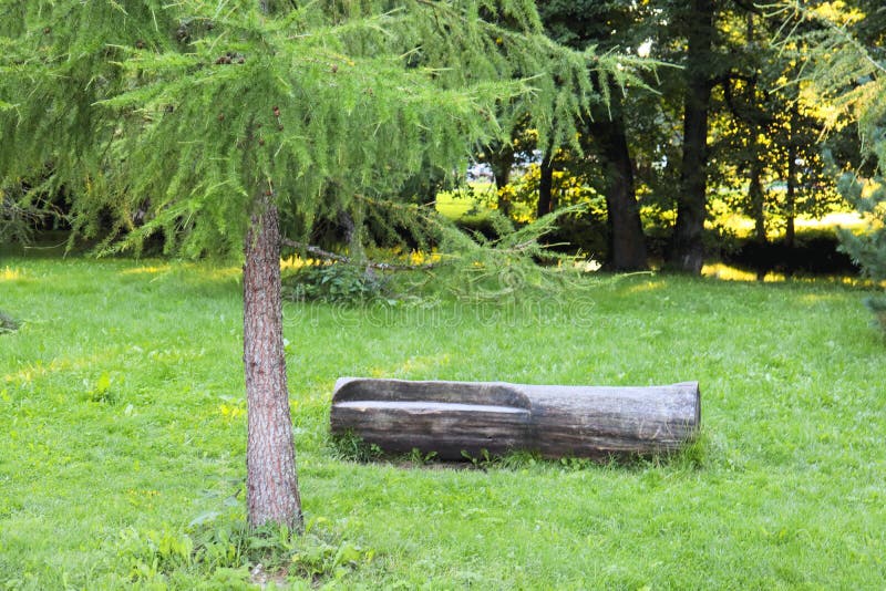 Vintage Bench on Green Grass Stock Image - Image of nature, plant ...