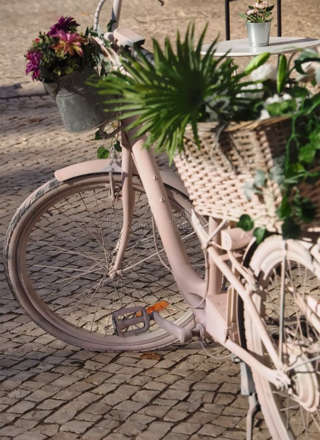 Vintage Bicycle in Cream Color with Flowers in a Basket Stock Image ...