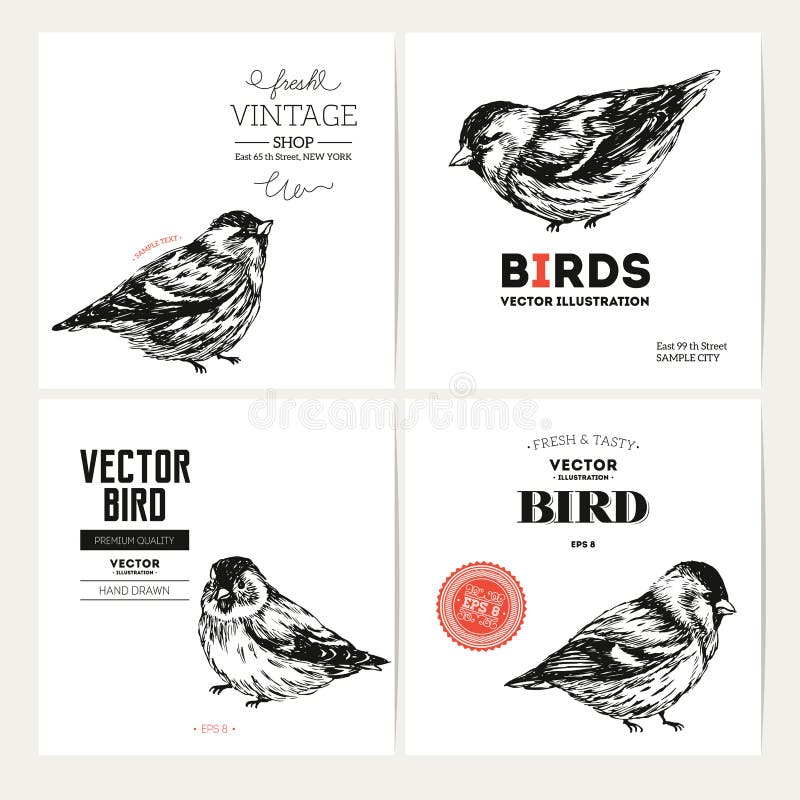 Vintage Bird Design Template Collection. Stock Vector - Illustration of ...