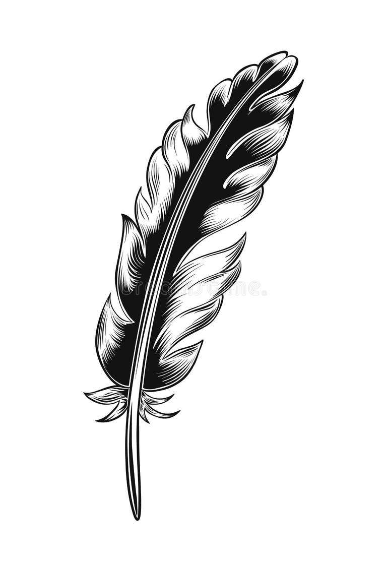 Feather Clipart Black White Stock Illustrations – 5,589 Feather Clipart ...