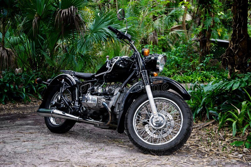 Vintage Motorcycle in Jungle Stock Photo - Image of tropical, tropics ...