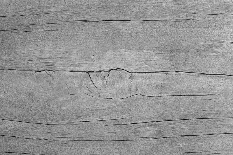 Vintage Black and White Old Wooden Texture Nature Background. Rustic ...