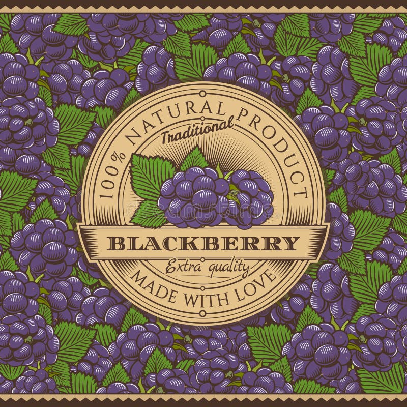 Blackberry Jam Label with Jar Stock Vector - Illustration of blackberry ...