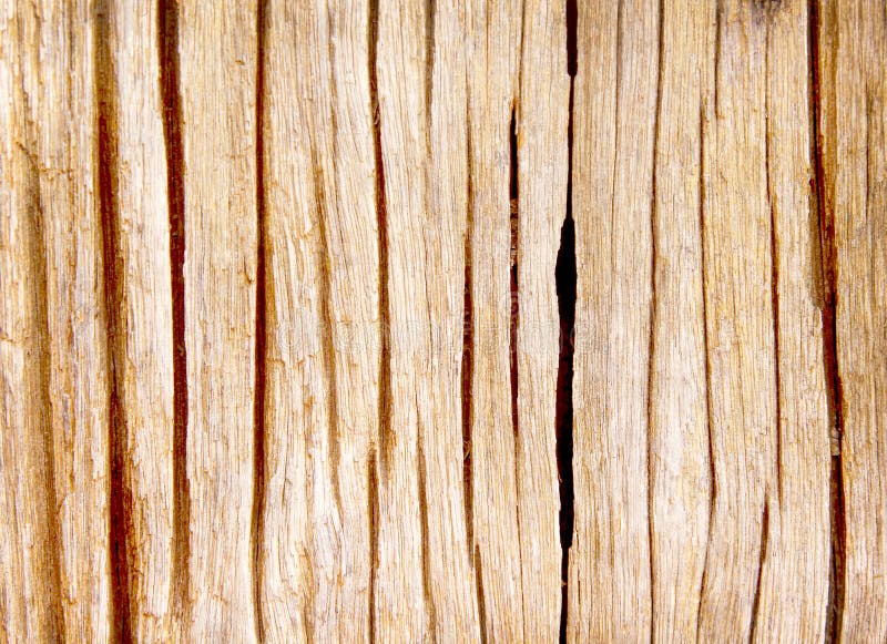Vintage Blank Wood Texture in Vertical Patterns Stock Image - Image of ...