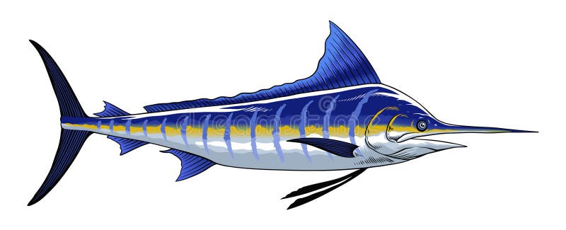 Marlin Stock Illustrations – 4,544 Marlin Stock Illustrations, Vectors ...