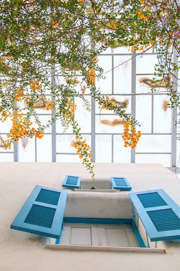 Vintage Blue Window and Flower Stock Image - Image of white, thailand ...