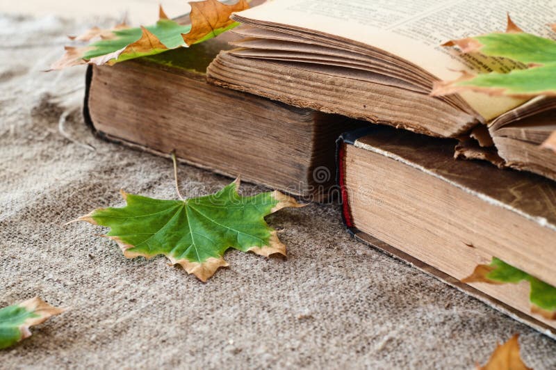 Vintage Book with Autumn Maple Leaves on the Table Stock Image - Image ...