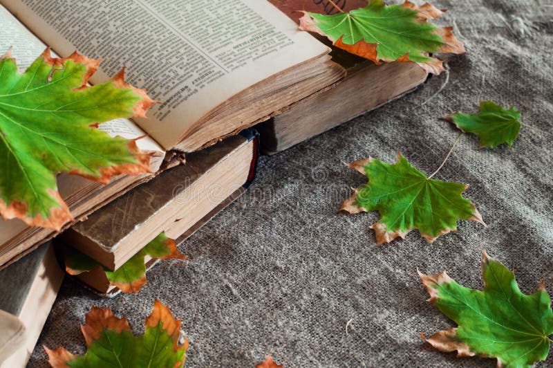 Vintage Book with Autumn Maple Leaves on the Table Stock Image - Image ...
