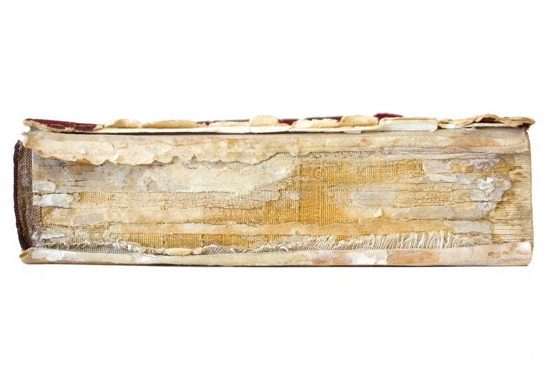 242 Tattered Spine Stock Photos - Free & Royalty-Free Stock Photos from ...