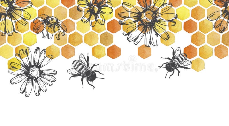 Beehive Border Stock Illustrations – 563 Beehive Border Stock ...