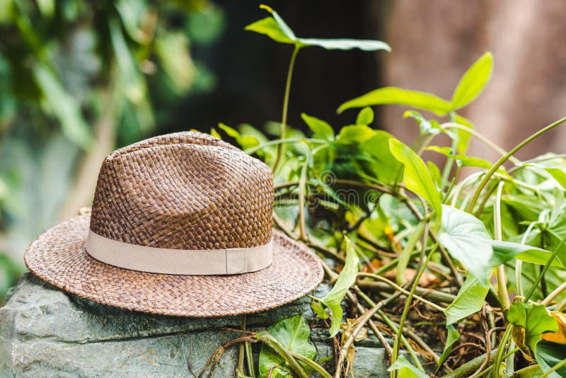 Vintage Brown Straw Hat on Rock Stock Photo - Image of foliage, bushes ...