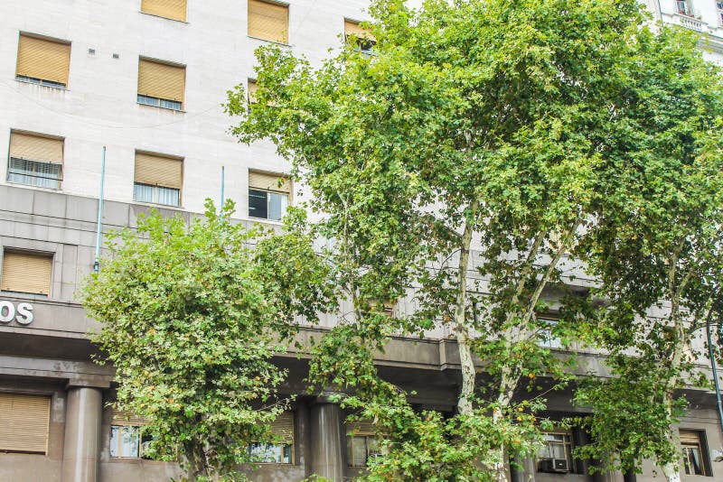 Vintage Building Facade Outside Street Art Buildings Stock Photo ...